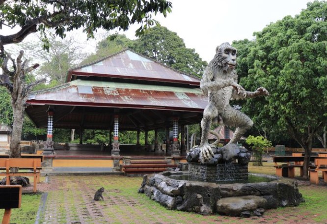 Menyusuri Sejarah dan Pesona Alam Alas Kedaton, Bali - Paket Tour Bali ...