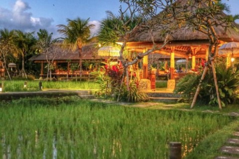 Menikmati Kuliner dengan Pemandangan Alam, Tempat Makan Tepi Sawah di ...